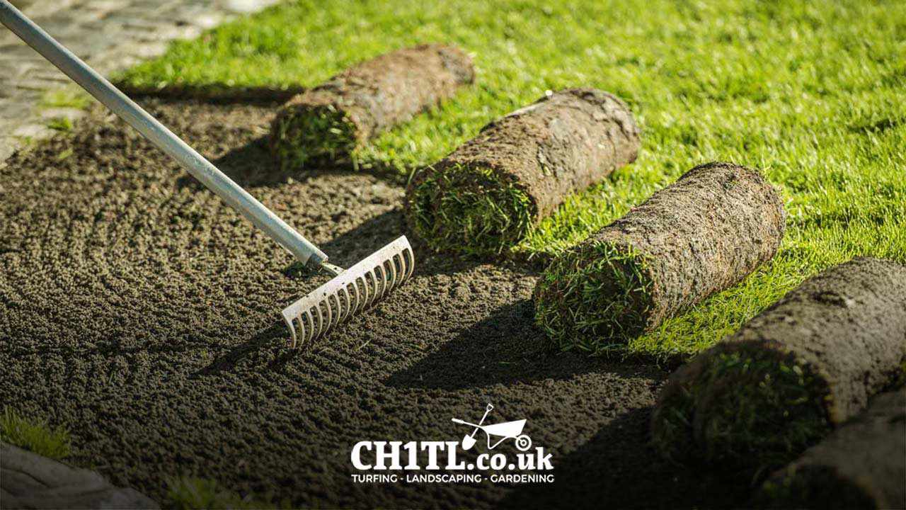 What is Lawn Top Dressing? A Comprehensive Guide by CH1 Turfing and La